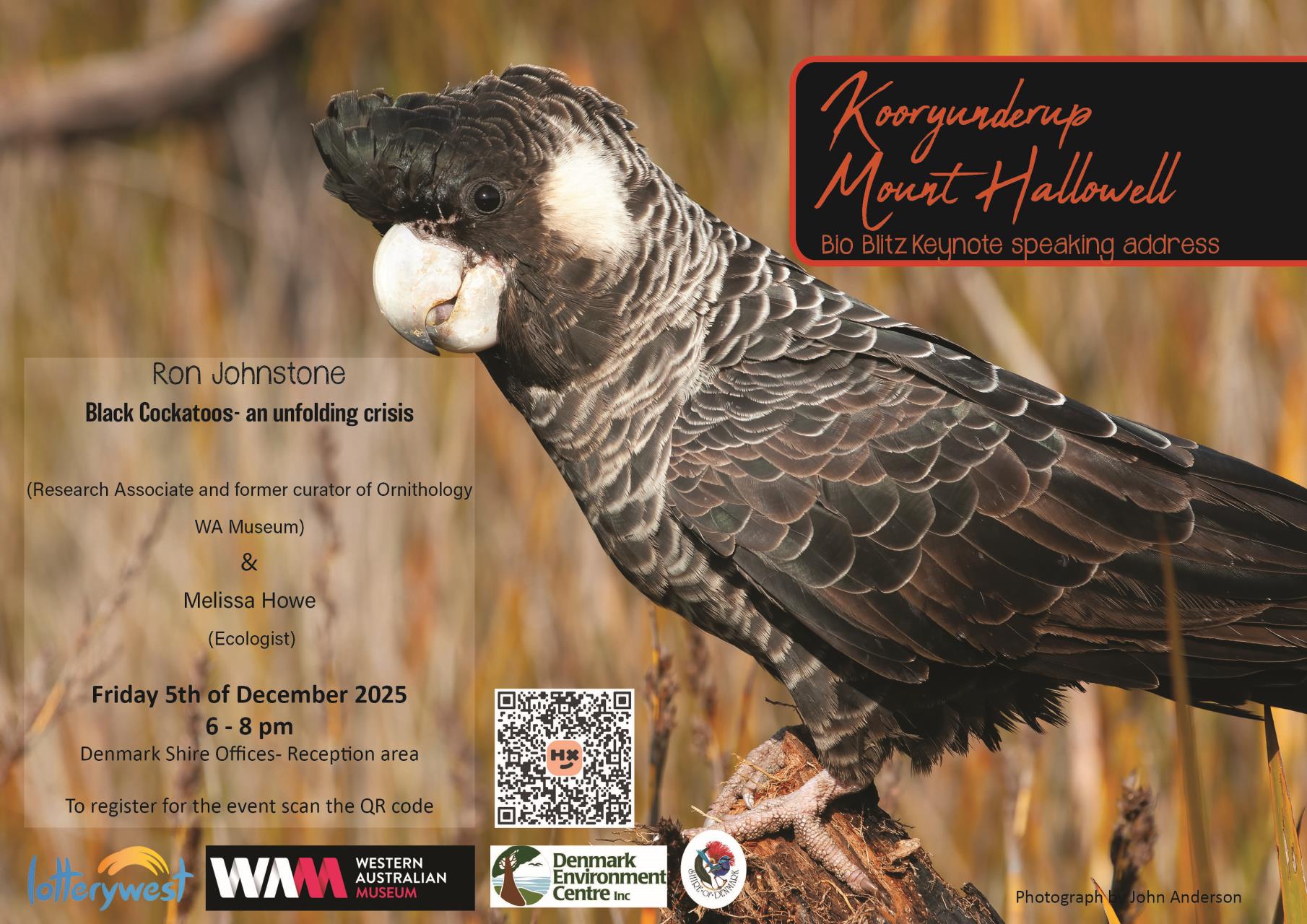 Kooryunderup / Mt Hallowell BioBlitz Community Debrief » Shire of Denmark